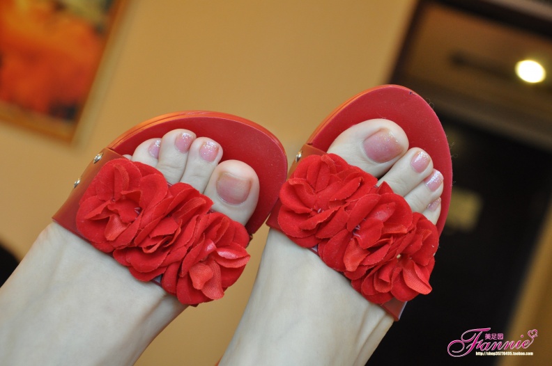 DSC 0088 | （福妹）主题相册